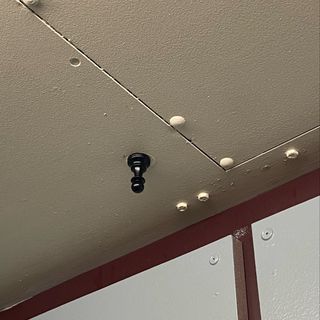 Cold Court Concert & Tour History (Updated for 2025) | Concert Archives