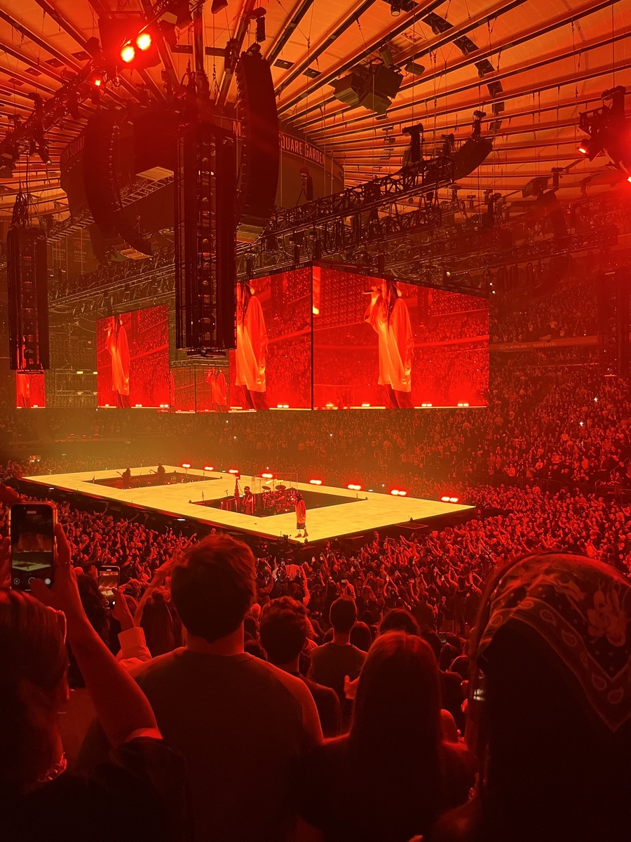 Billie Eilish Concert & Tour History (Updated for 2025) | Concert Archives