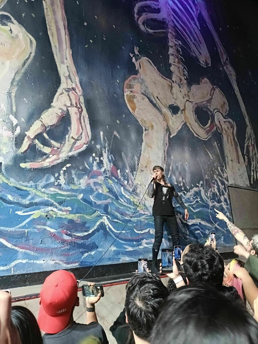 Feb 01, 2025: AFI at House of Vans Mexico City, Mexico City, Mexico ...