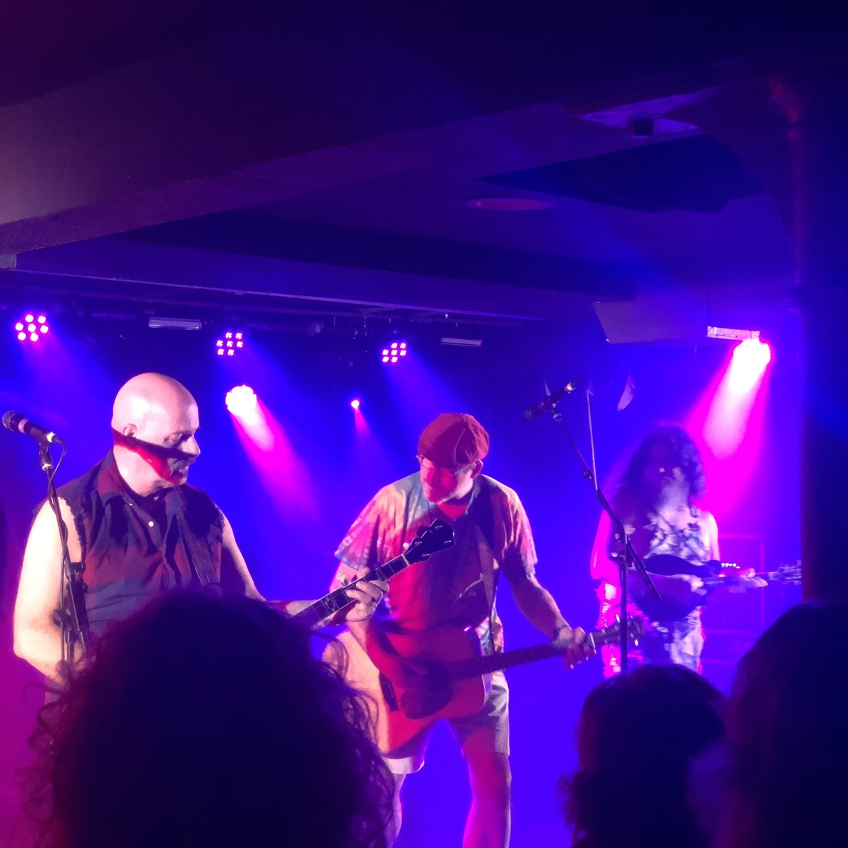 Hayseed Dixie Concert Photos | Concert Archives