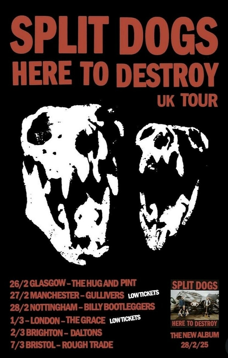 Concert Archives - Remember all the concerts you've seen.