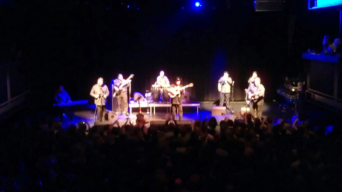 Wired Paradise Concert & Tour History | Concert Archives