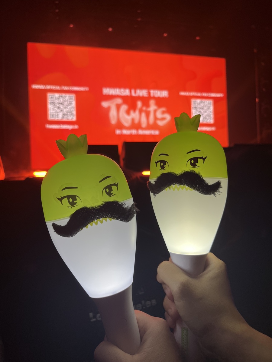 Hwasa Concert & Tour History (Updated for 2025) | Concert Archives