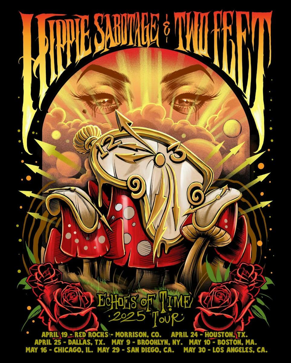 May 10, 2025: Hippie Sabotage / Two Feet / Carpetman at Roadrunner ...