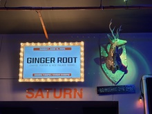Ginger Root Concert & Tour History (Updated for 2025) | Concert Archives