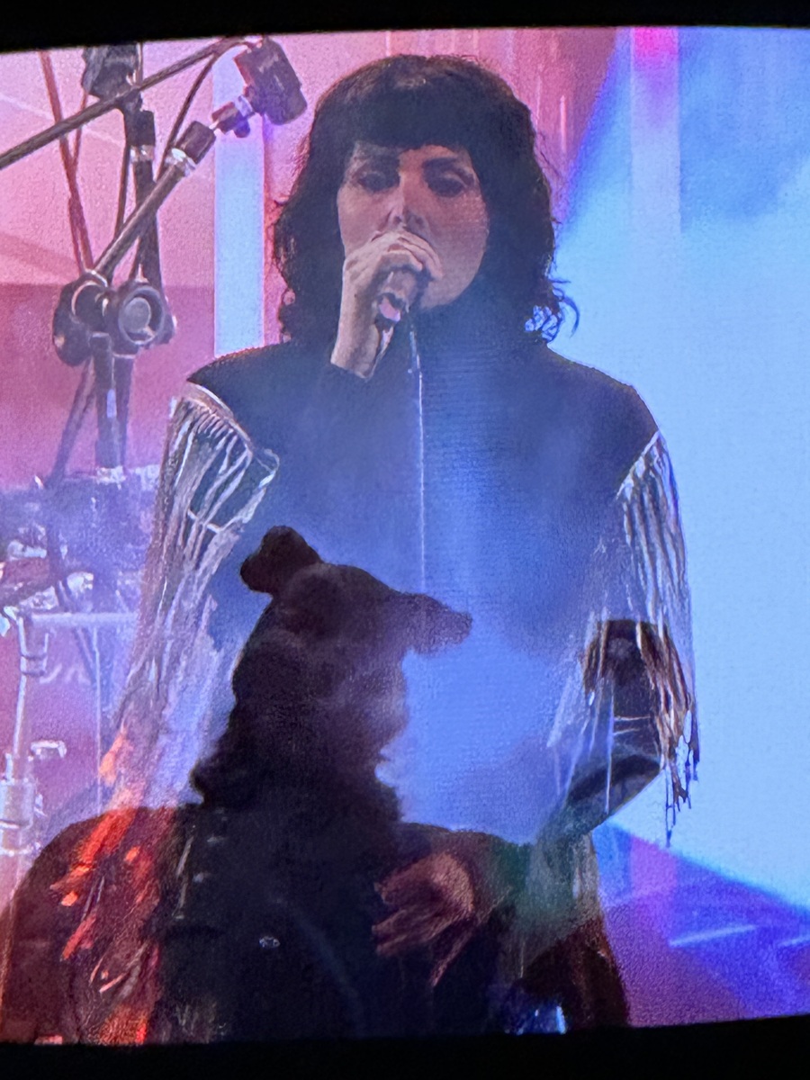 SESSANTA: A Perfect Circle, Primus, Puscifer Concert & Tour History ...