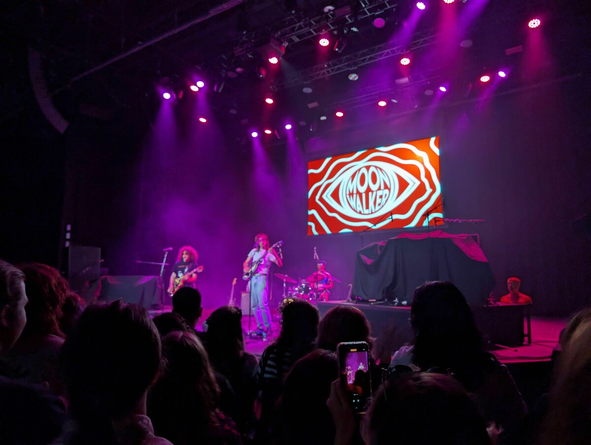 Will Wood Concert & Tour History (Updated for 2025) | Concert Archives