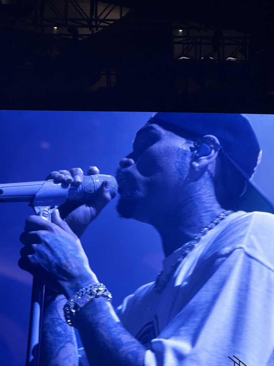 Chris Brown's 2025 Concert Photos | Concert Archives