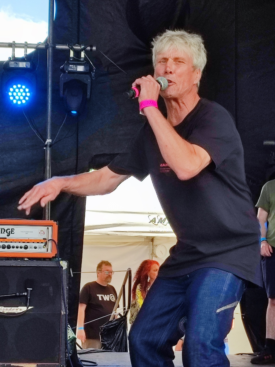 The Beelines Concert Photos | Concert Archives