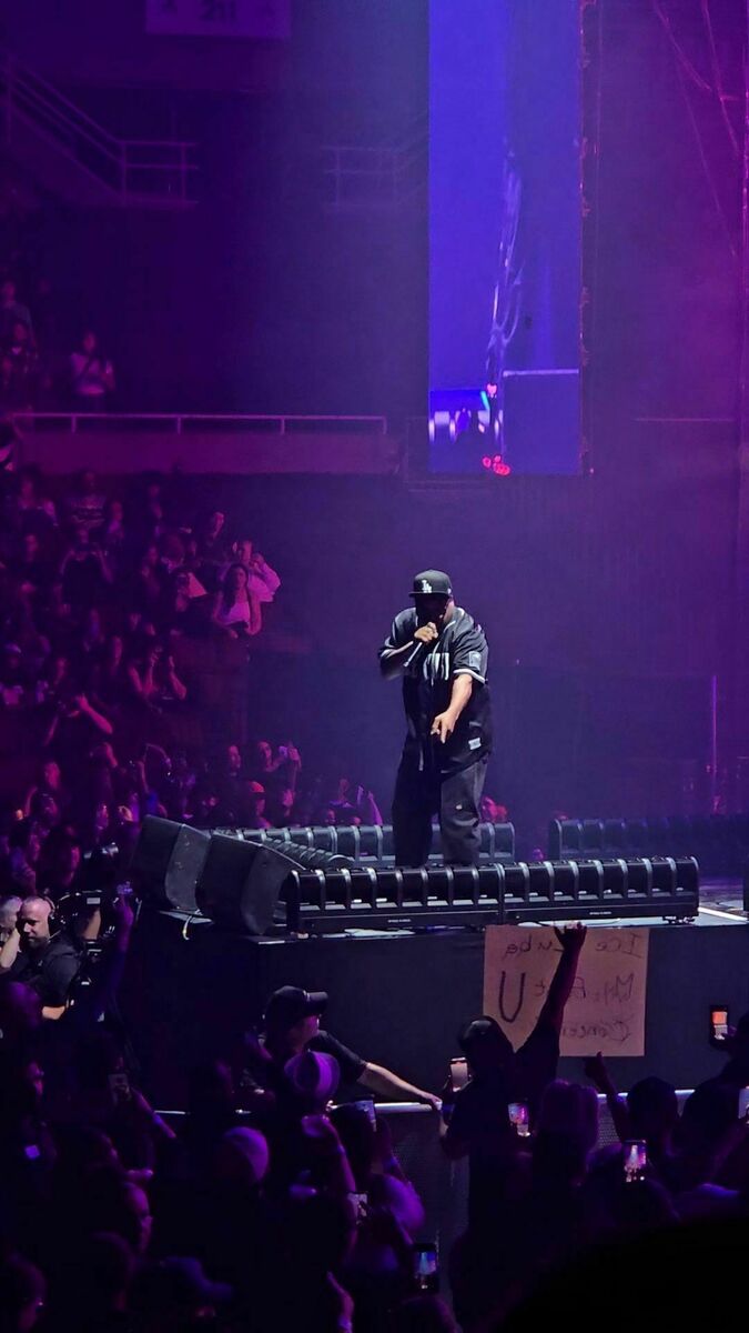 Ice Cube Concert & Tour History (Updated for 2025) | Concert Archives