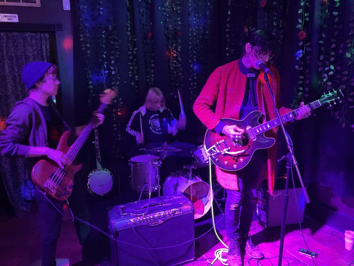 Sable Island Pony Concert Photos | Concert Archives