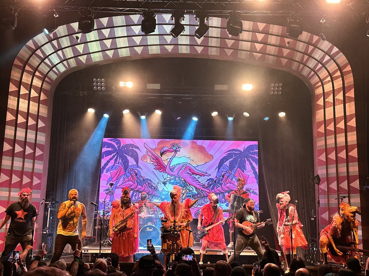 NiNi Concert & Tour History (Updated for 2026) | Concert Archives