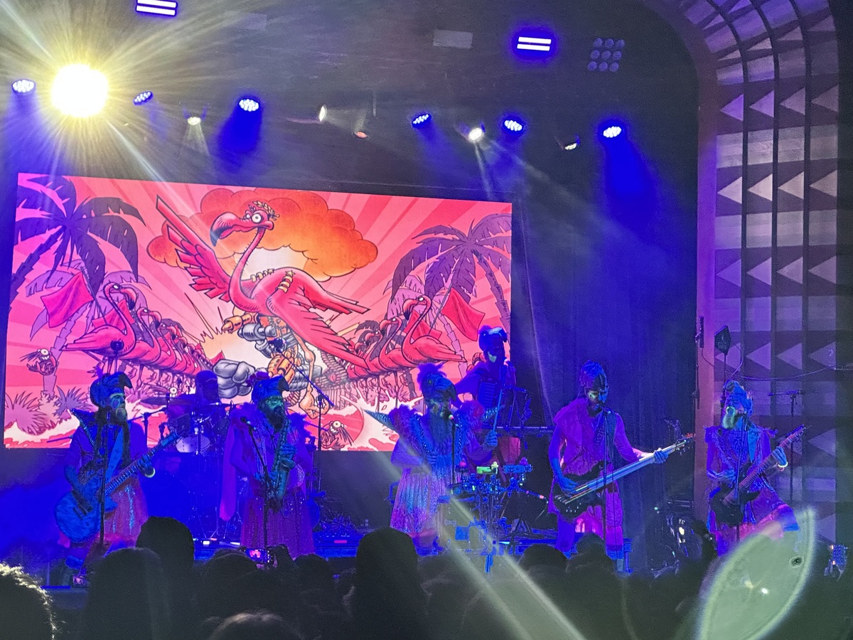 NiNi Concert & Tour History (Updated for 2026) | Concert Archives