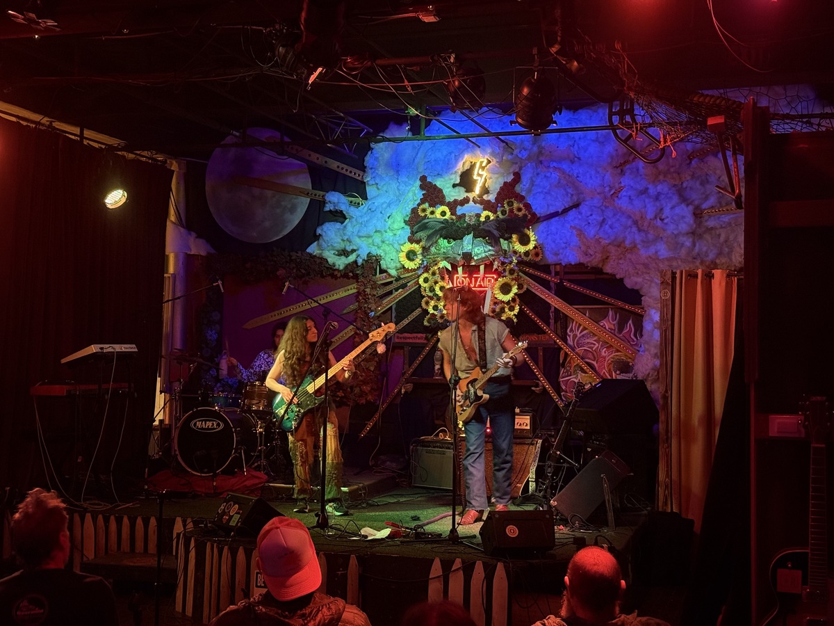 CC Roots Concert Photos | Concert Archives