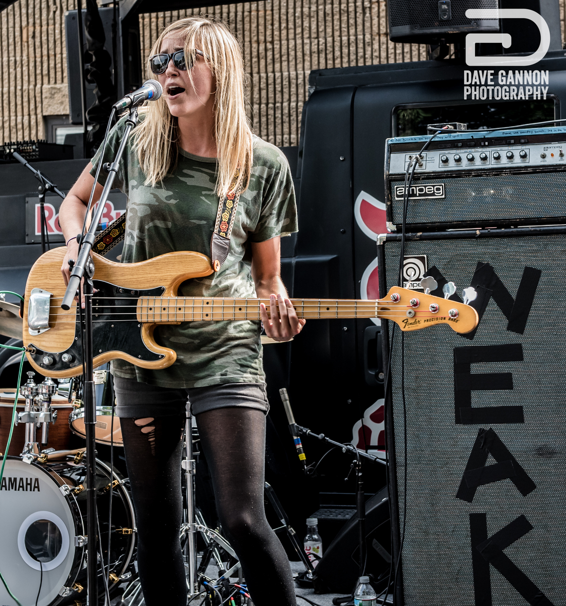 Blake Babies Concert & Tour History | Concert Archives