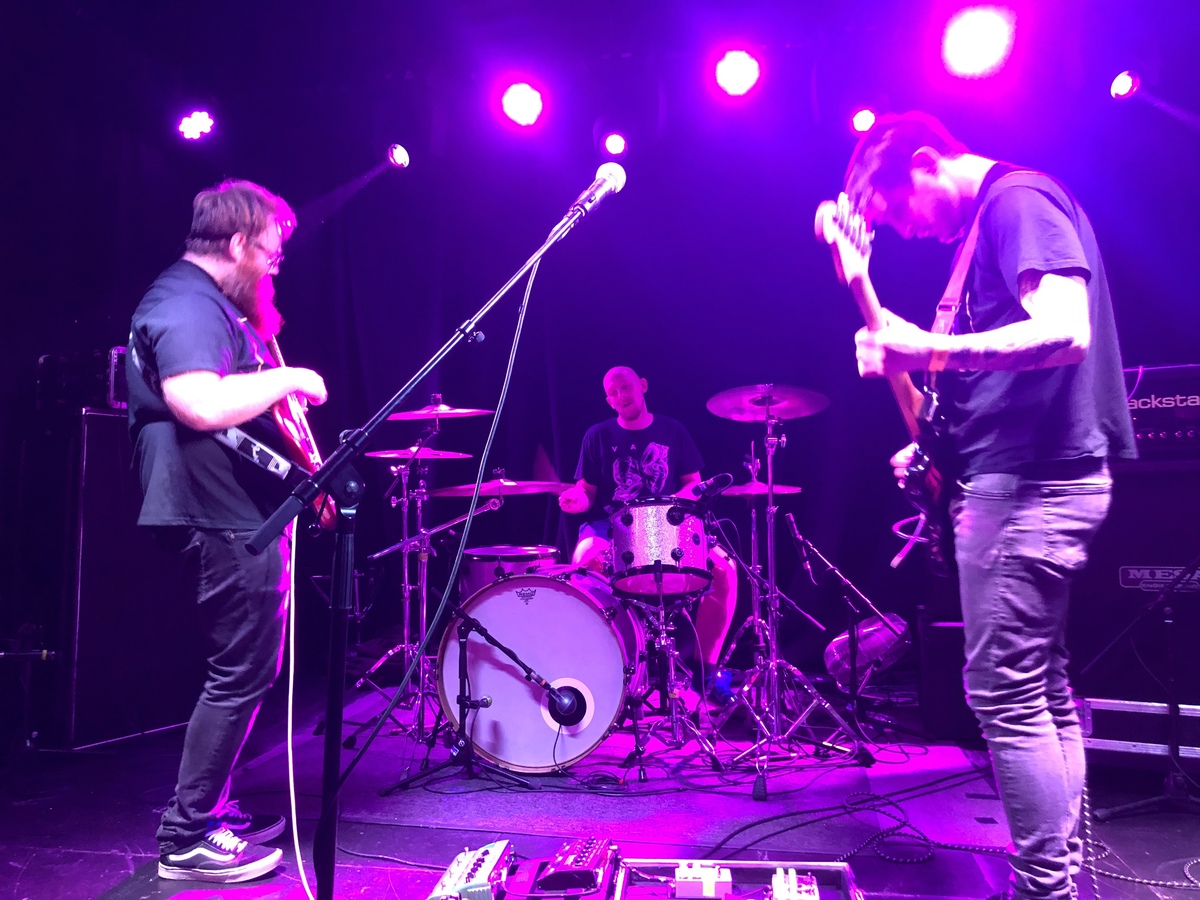 David Terry Concert & Tour History | Concert Archives