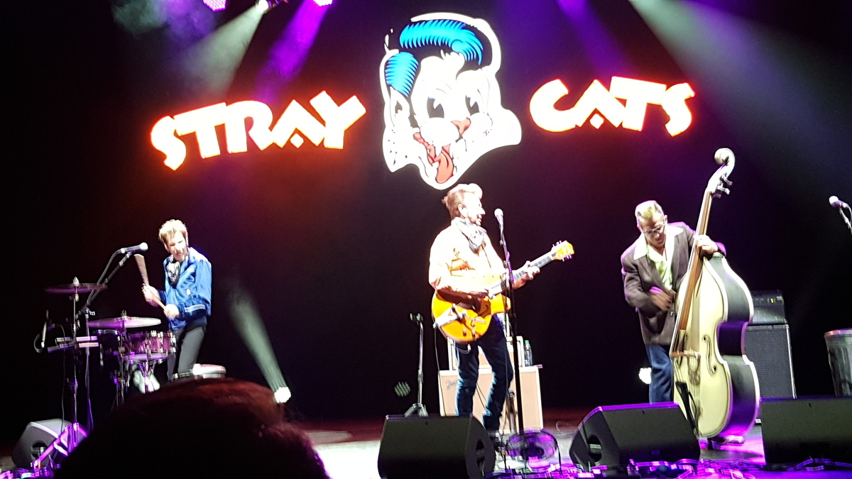 The Stray Cats Concert Photos | Concert Archives