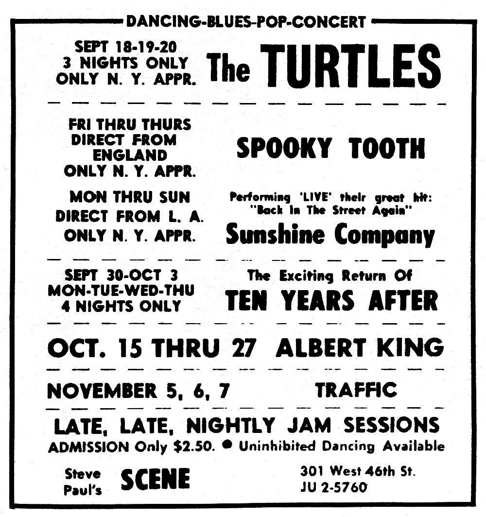The Turtles Concerts | PopBopRocktilUDrop