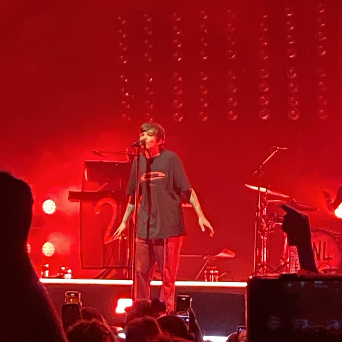 Punk Louis Tomlinson 2022