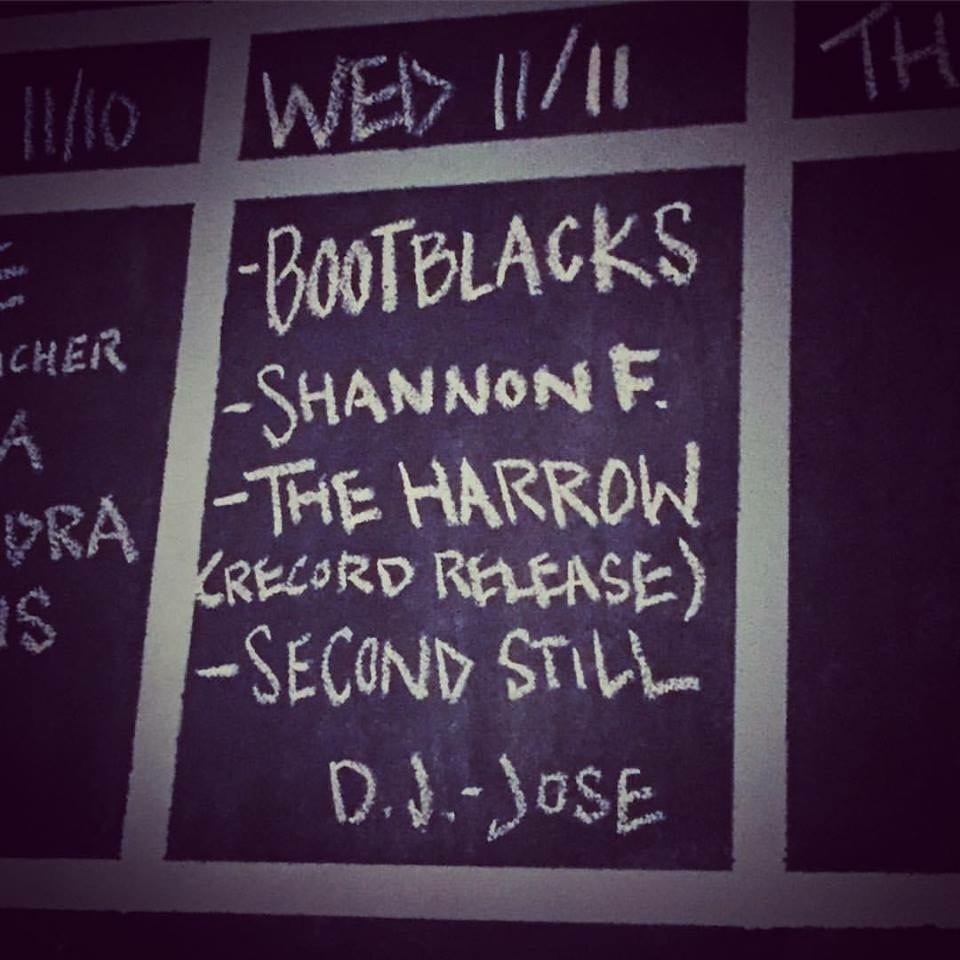 Shannon Funchess Concert Photos | Concert Archives