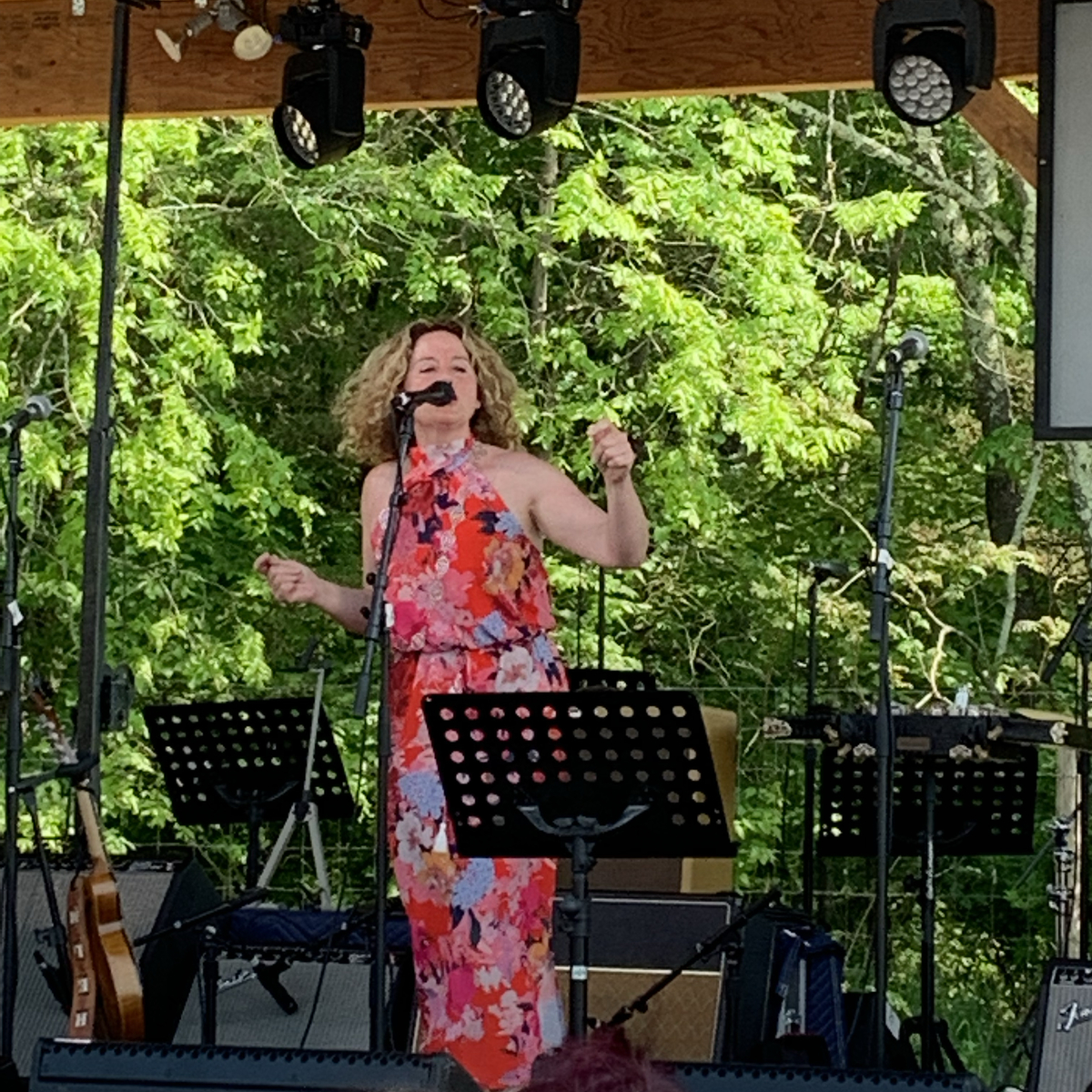 Amy Helm Concert & Tour History (Updated for 2024) | Concert Archives