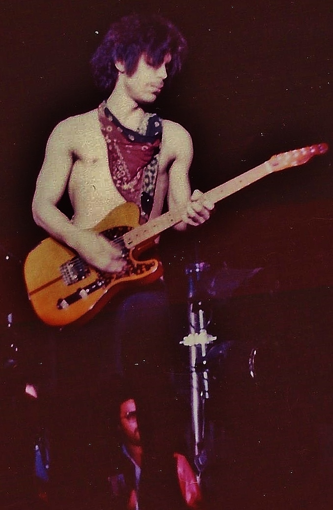Prince 1981