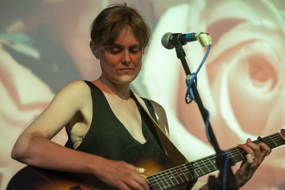 The Ocelots Concert & Tour History (Updated for 2025) | Concert Archives