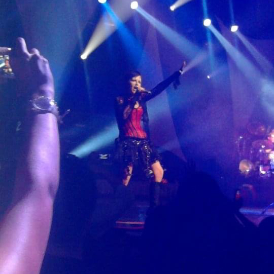 The Cranberries Concert & Tour History | Concert Archives