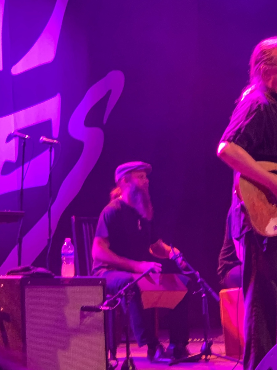 Alsarah & the Nubatones Concert Photos | Concert Archives