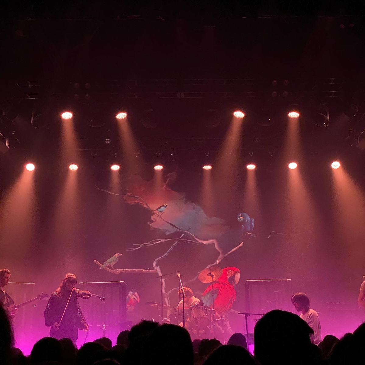 Aldo Fisk Concert & Tour History | Concert Archives