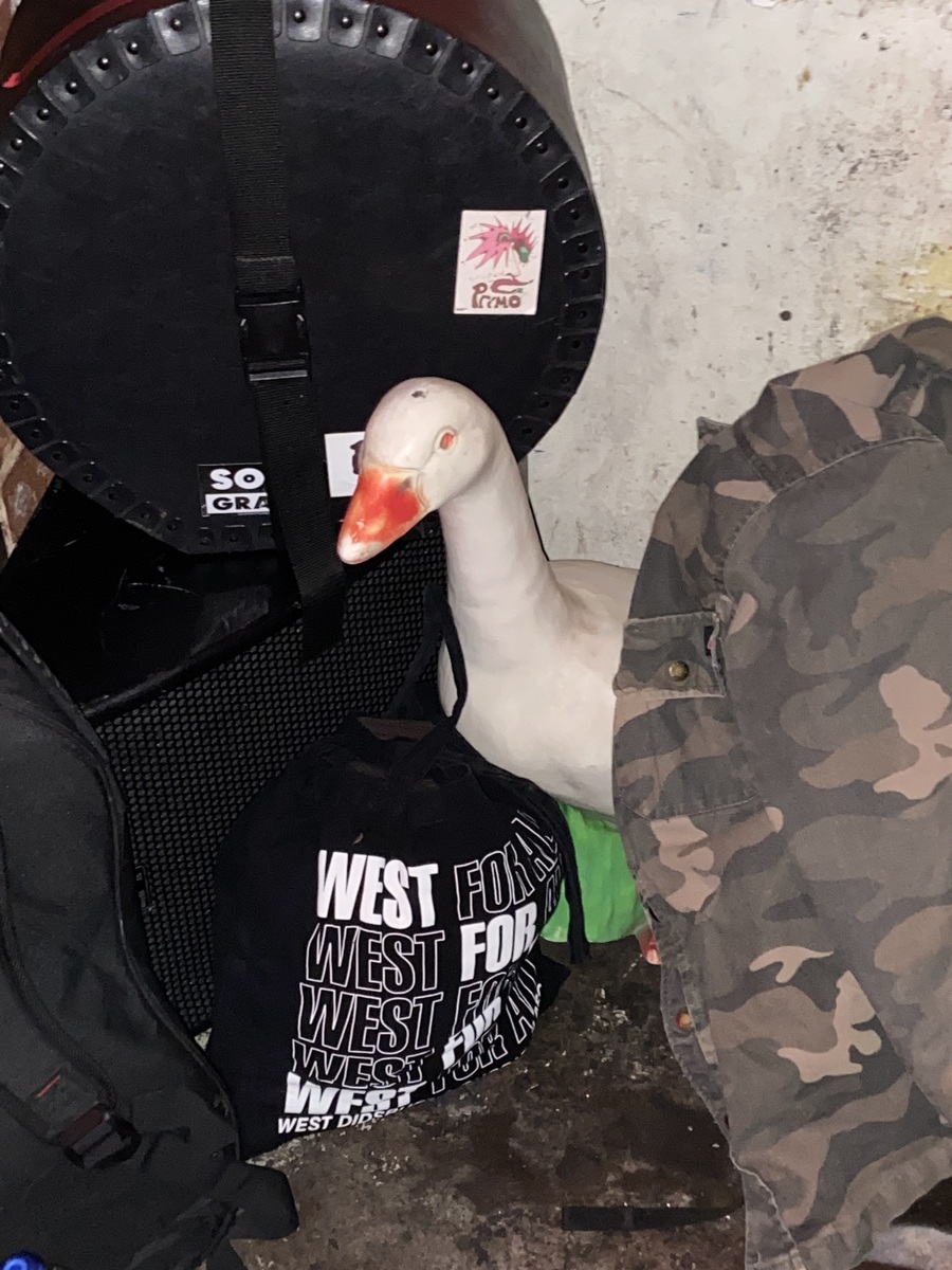 Adam Hopper Concert & Tour History (Updated for 2024) | Concert Archives