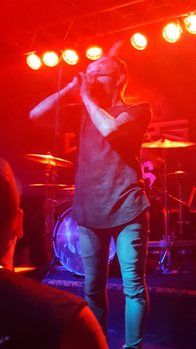 The Bunny The Bear Concert & Tour History (Updated for 2024) | Concert ...