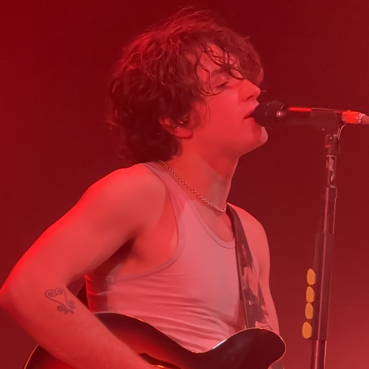 Cecilia Castleman Concert & Tour History (Updated for 2024) | Concert ...