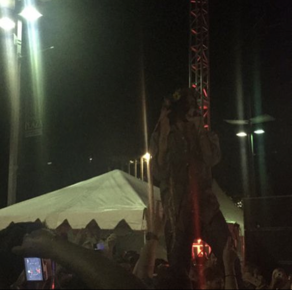 "Wildflower! Festival" Concert & Tour History | Concert Archives