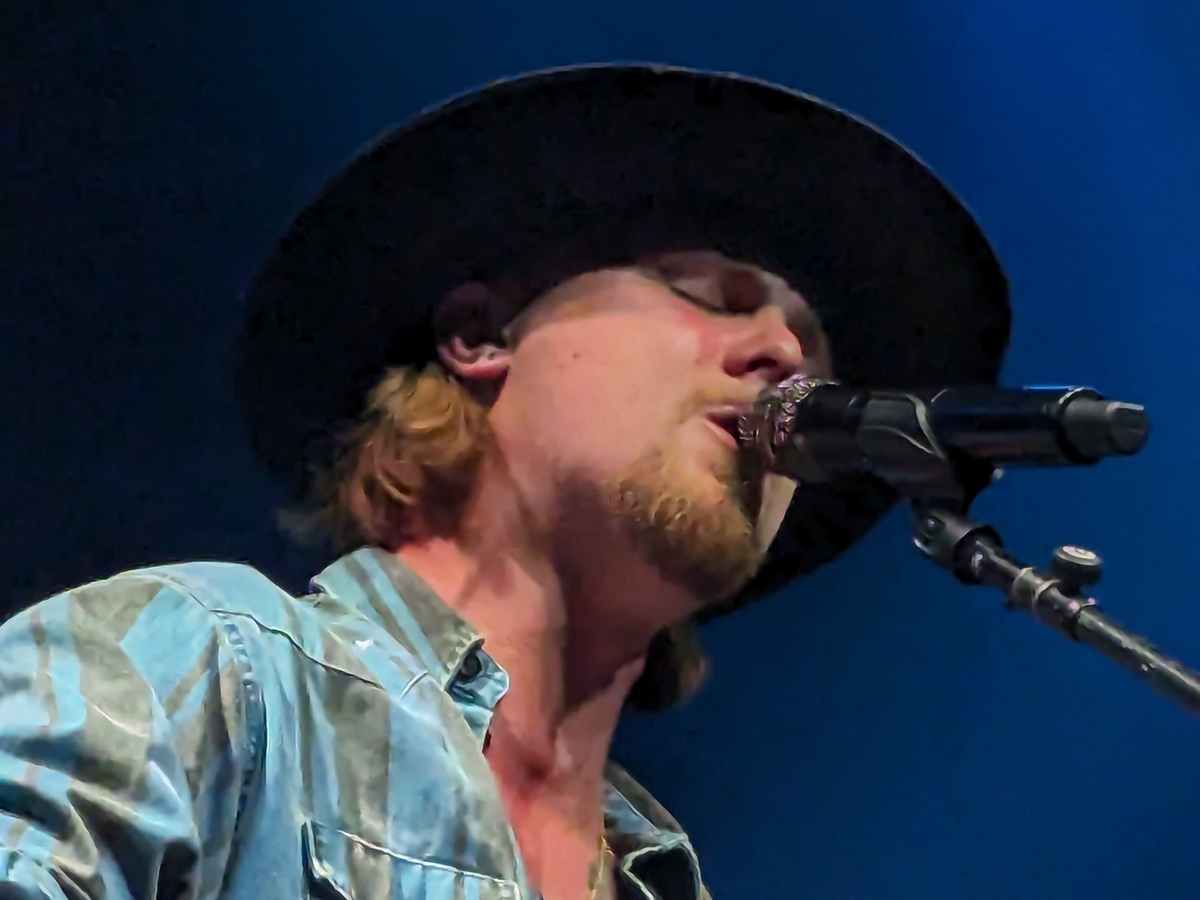 Concert History of The Vine Showroom Waterloo, New York, United States ...