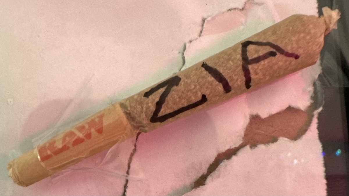 Pinky Lemon Concert & Tour History (Updated for 2025) | Concert Archives