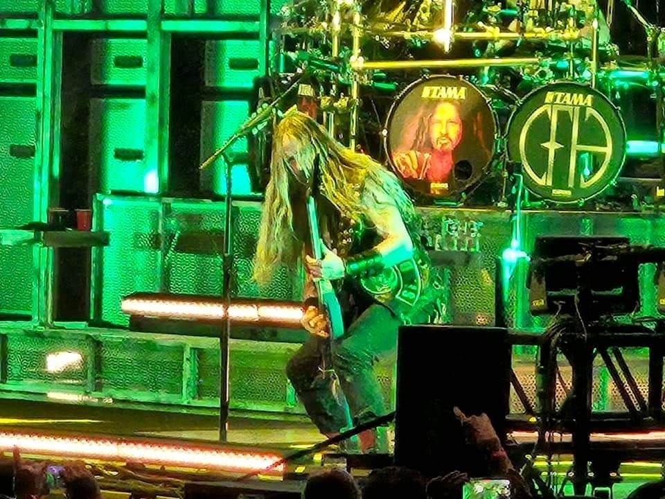 Pantera Live Wallpaper