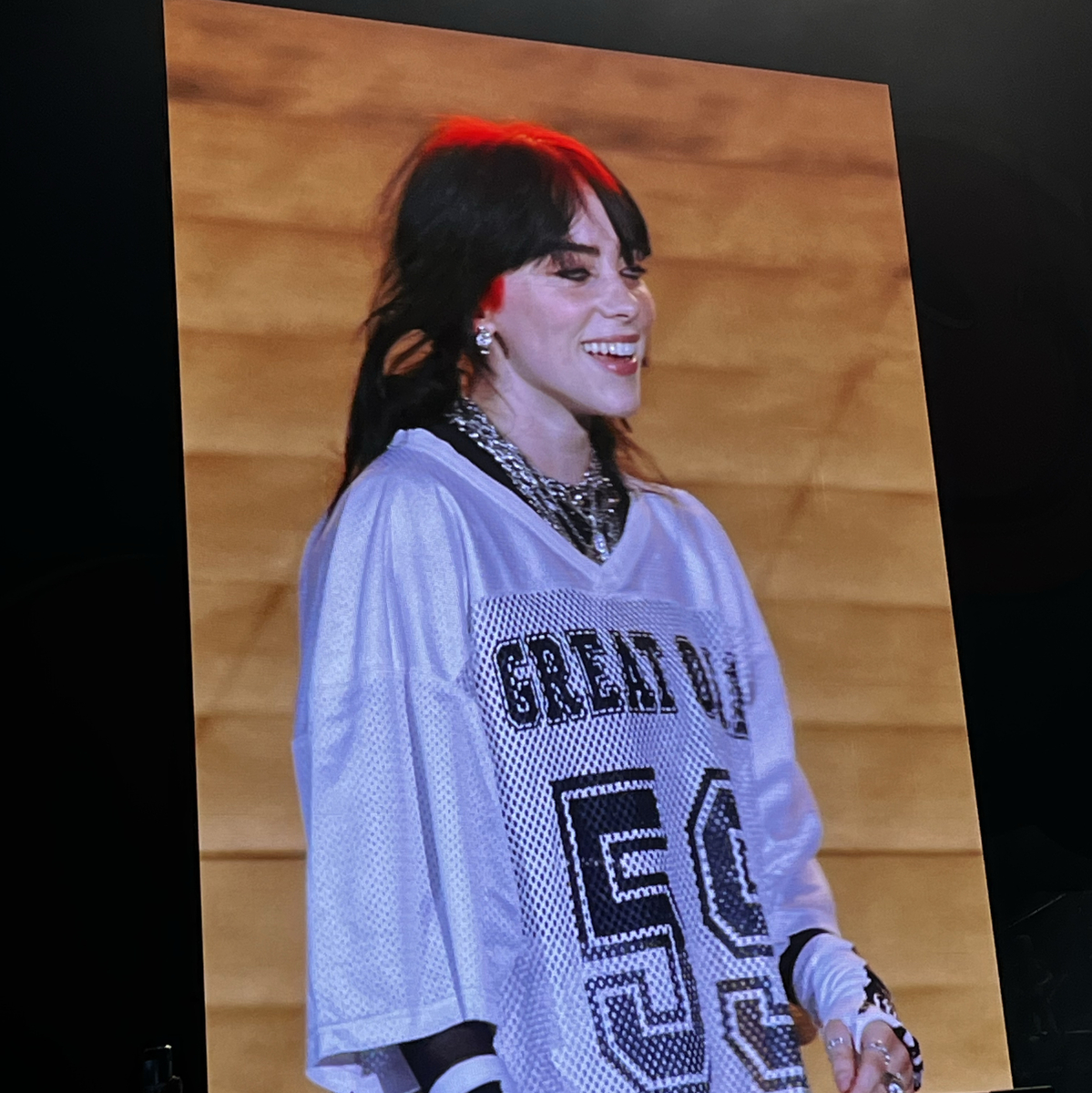 Billie Eilish Concert & Tour History (Updated for 2023) | Concert Archives