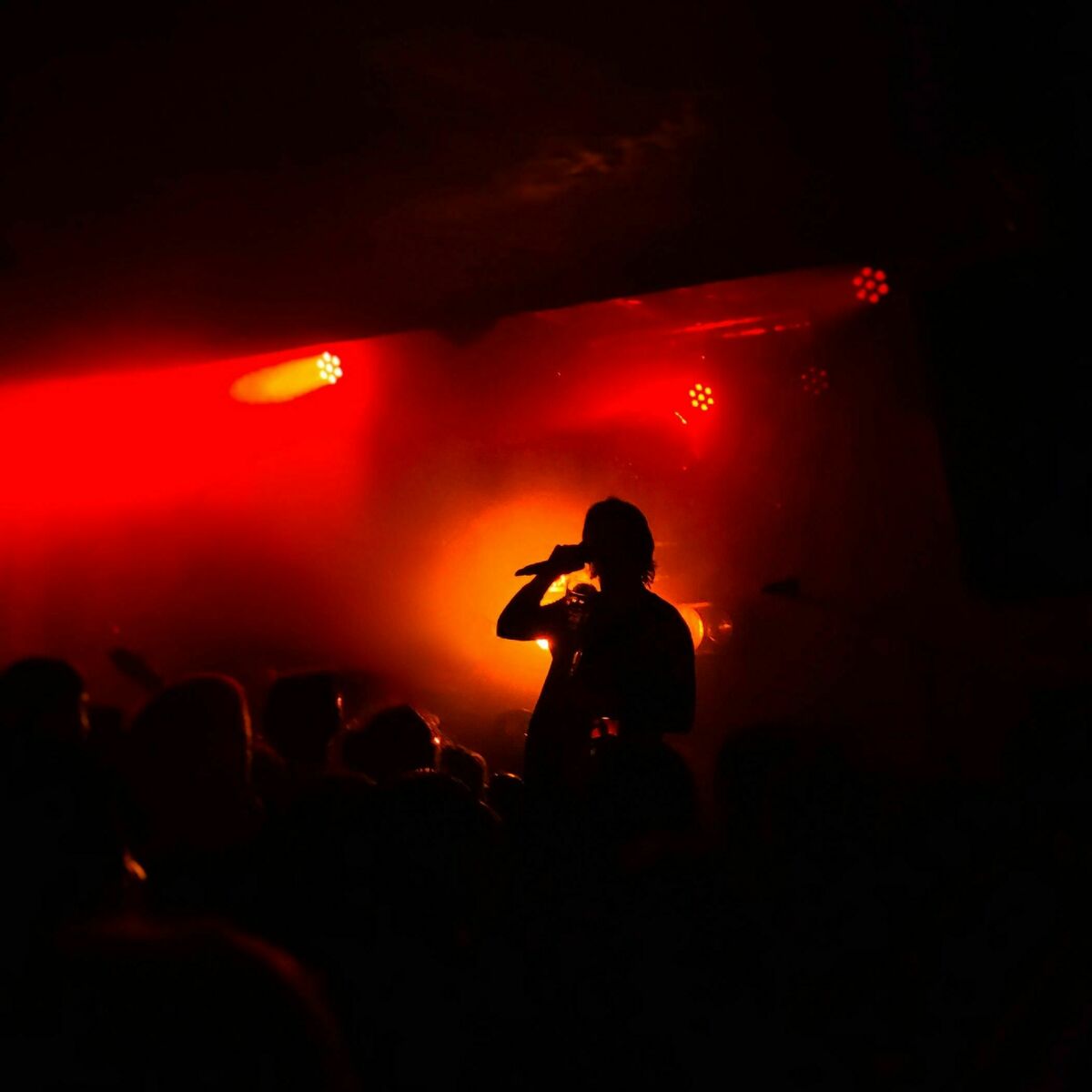 Bibiza Concert & Tour History (Updated for 2024 - 2025) | Concert Archives