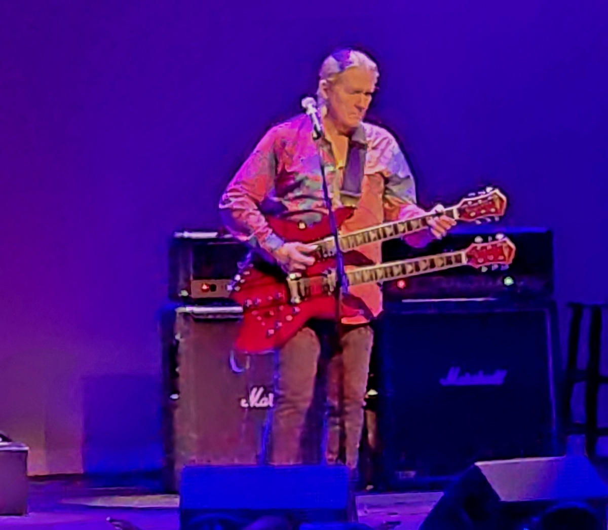 Zebra Concert & Tour History (Updated for 2024) | Concert Archives