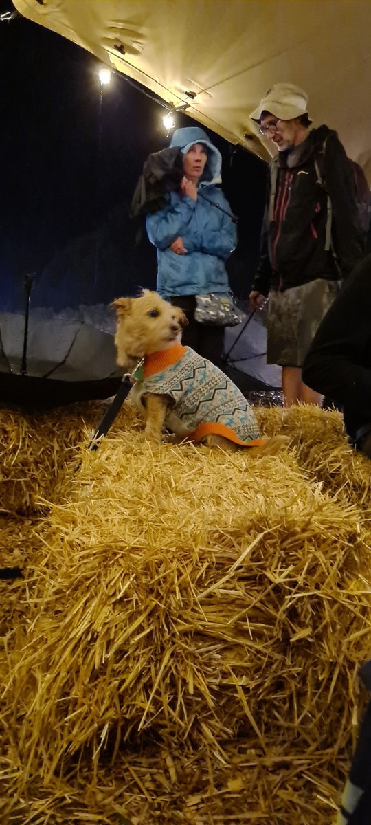 Jack Mcneill Concert & Tour History | Concert Archives