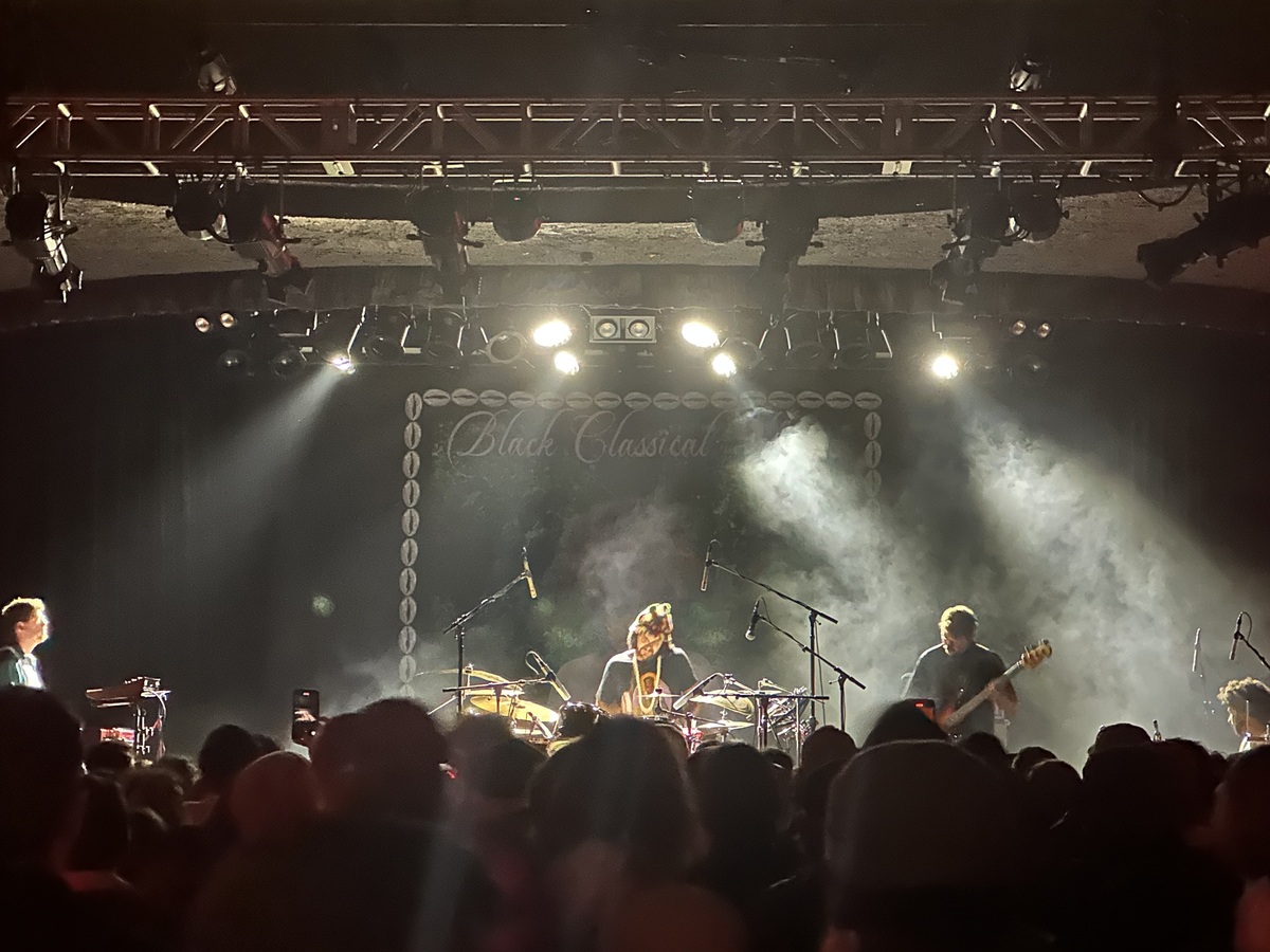 Aneesa Strings Concert & Tour History (Updated for 2025) | Concert Archives