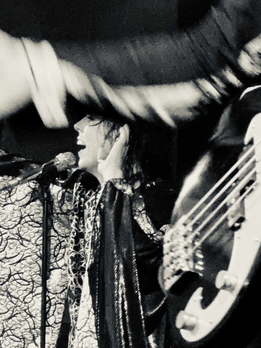 The Struts Concert & Tour History (Updated for 2024) | Concert Archives