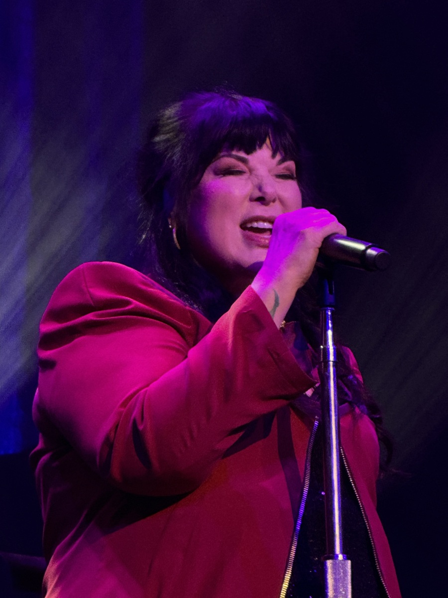 Ann Wilson Concert Photos | Concert Archives
