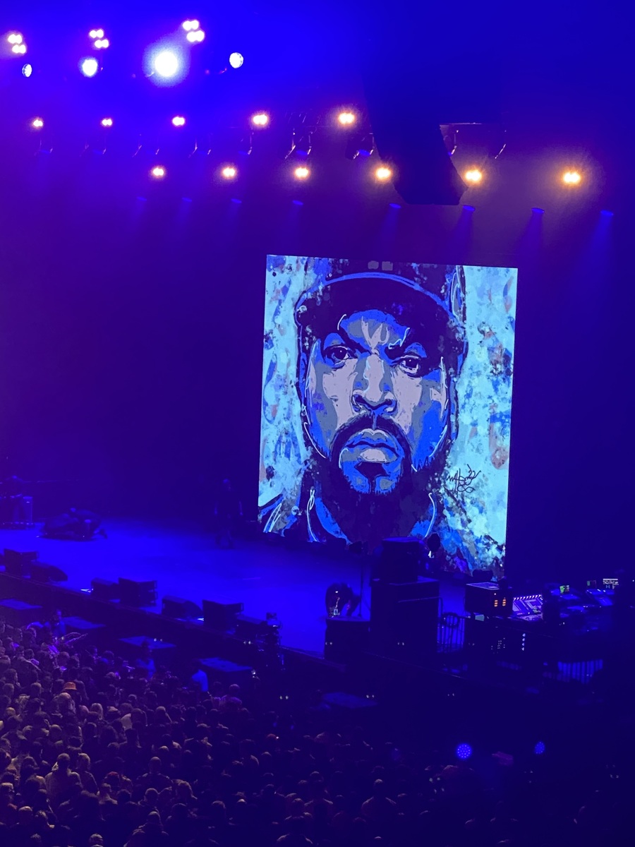 Ice Cube Concert & Tour History (Updated for 2024) | Concert Archives