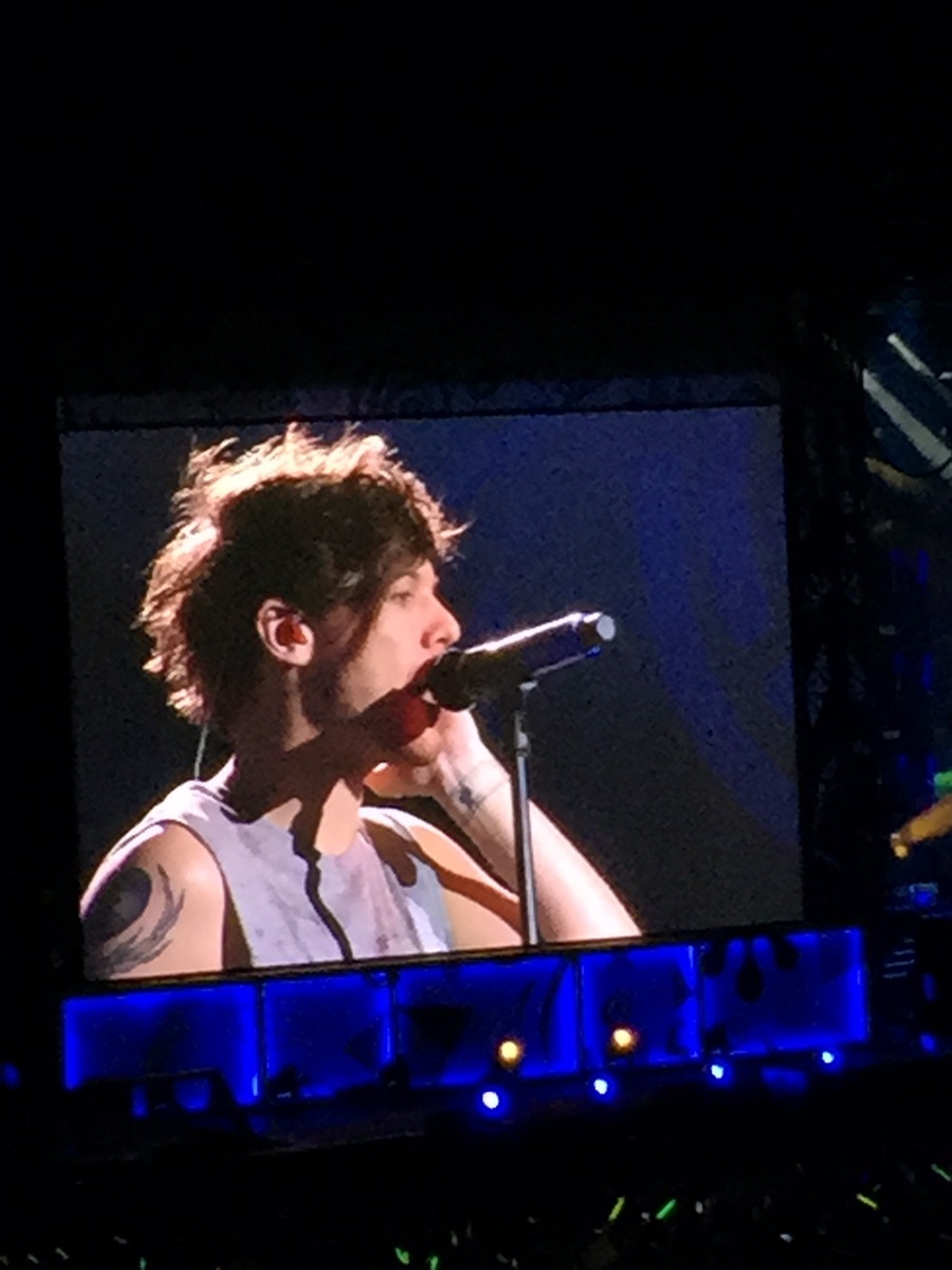 Aug 25, 2015: One Direction / Icona Pop at Miller Park Milwaukee ...
