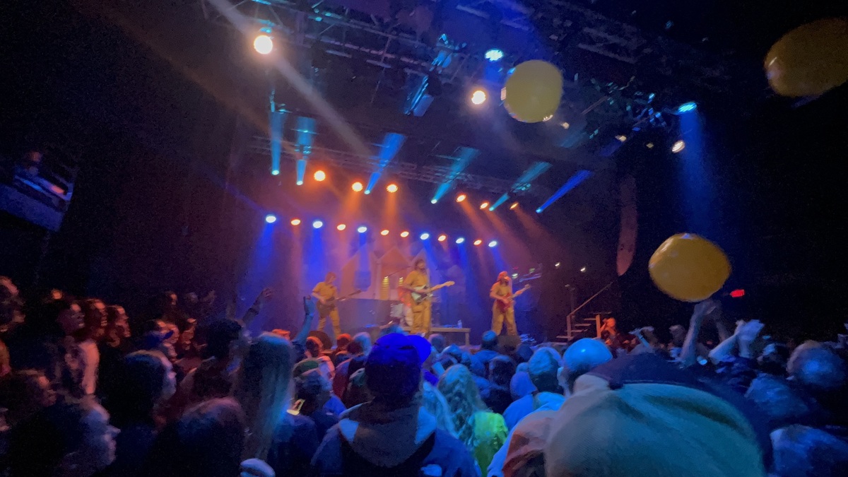 DNM Concert Photos | Concert Archives