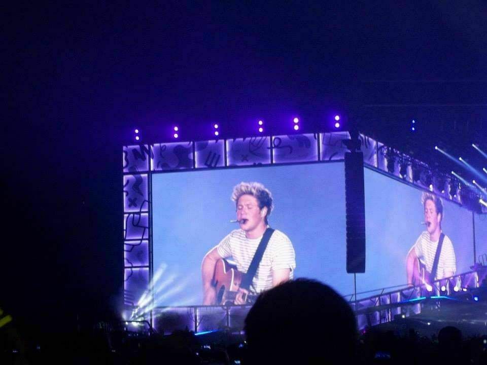 One Direction's 2015 Concert & Tour History | Concert Archives