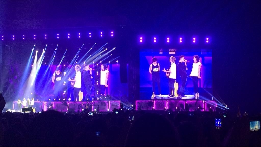 One Direction's 2015 Concert & Tour History | Concert Archives