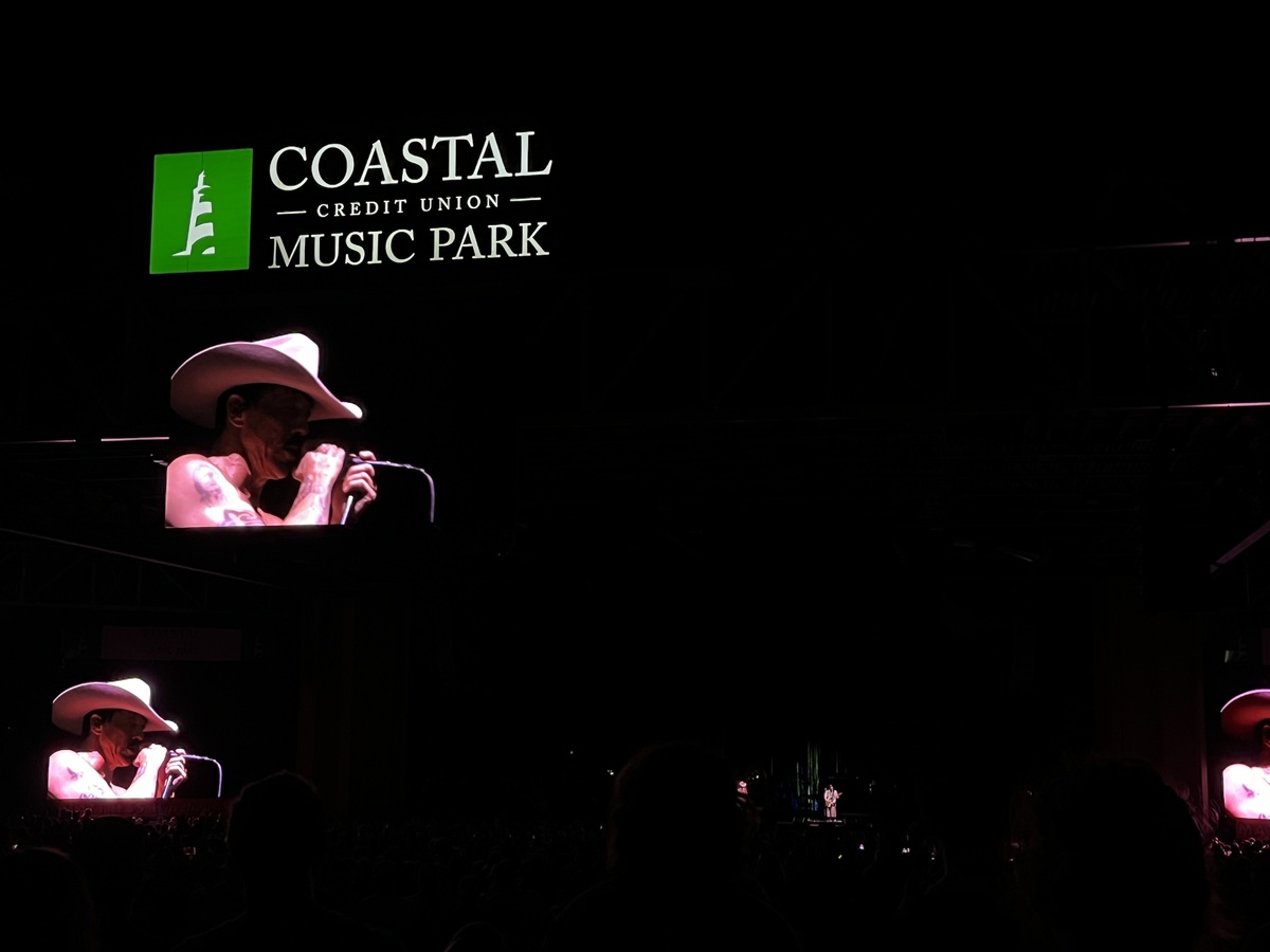 Ice Cube Concert & Tour History (Updated for 2024) | Concert Archives